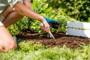 Understanding and Managing Weeds in Southern Gardens - Gardening in the ...